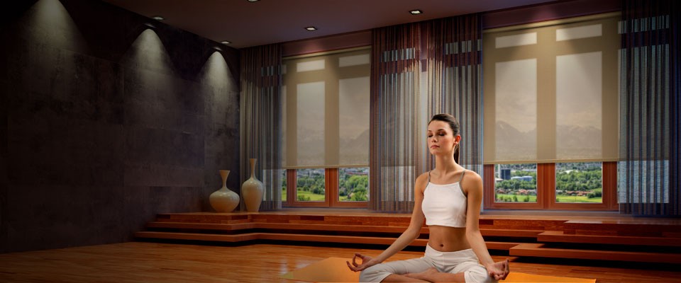 Shades » Technologies » Hoishik